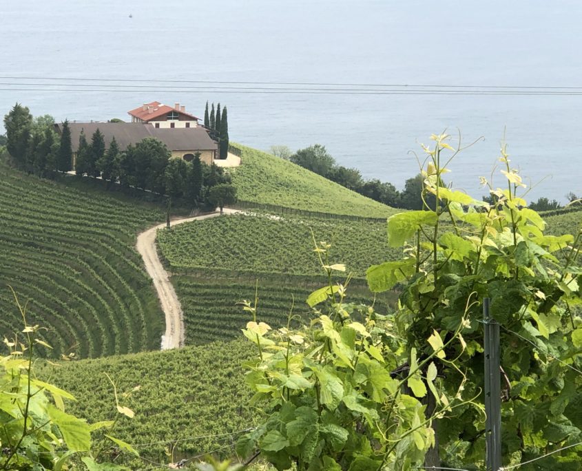 Dominique Rizzo | Bespoke Food Tours – One of Australian's leading chefs